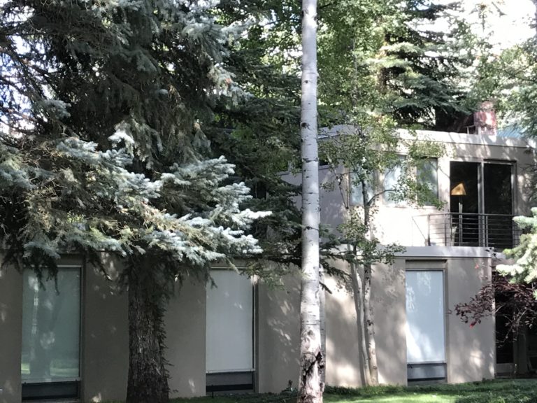 The Aspen Institute-Top educational/cultural institutions