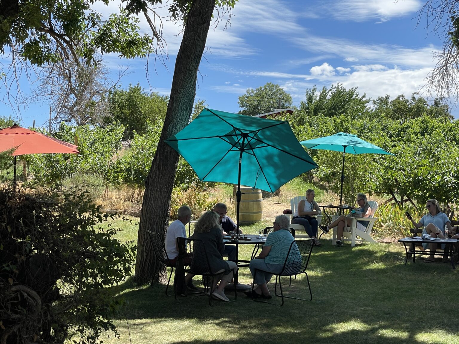 Palisade CO Wineries, Distilleries and Craft Breweries - Globalphile