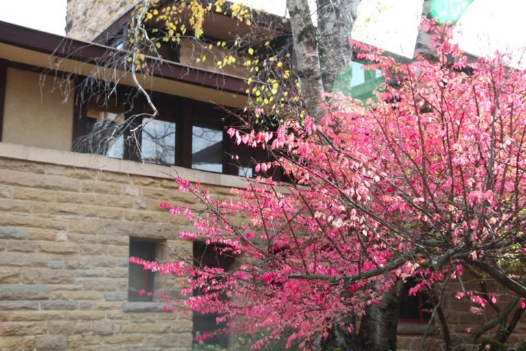 Frank Lloyd Wright in Spring Green, Wisconsin - Globalphile