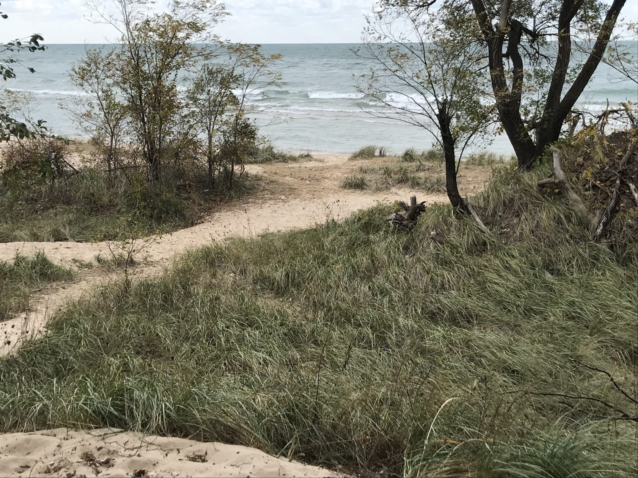 Day Trips From Chicago, IL - Visiting The Indiana Dunes - Globalphile