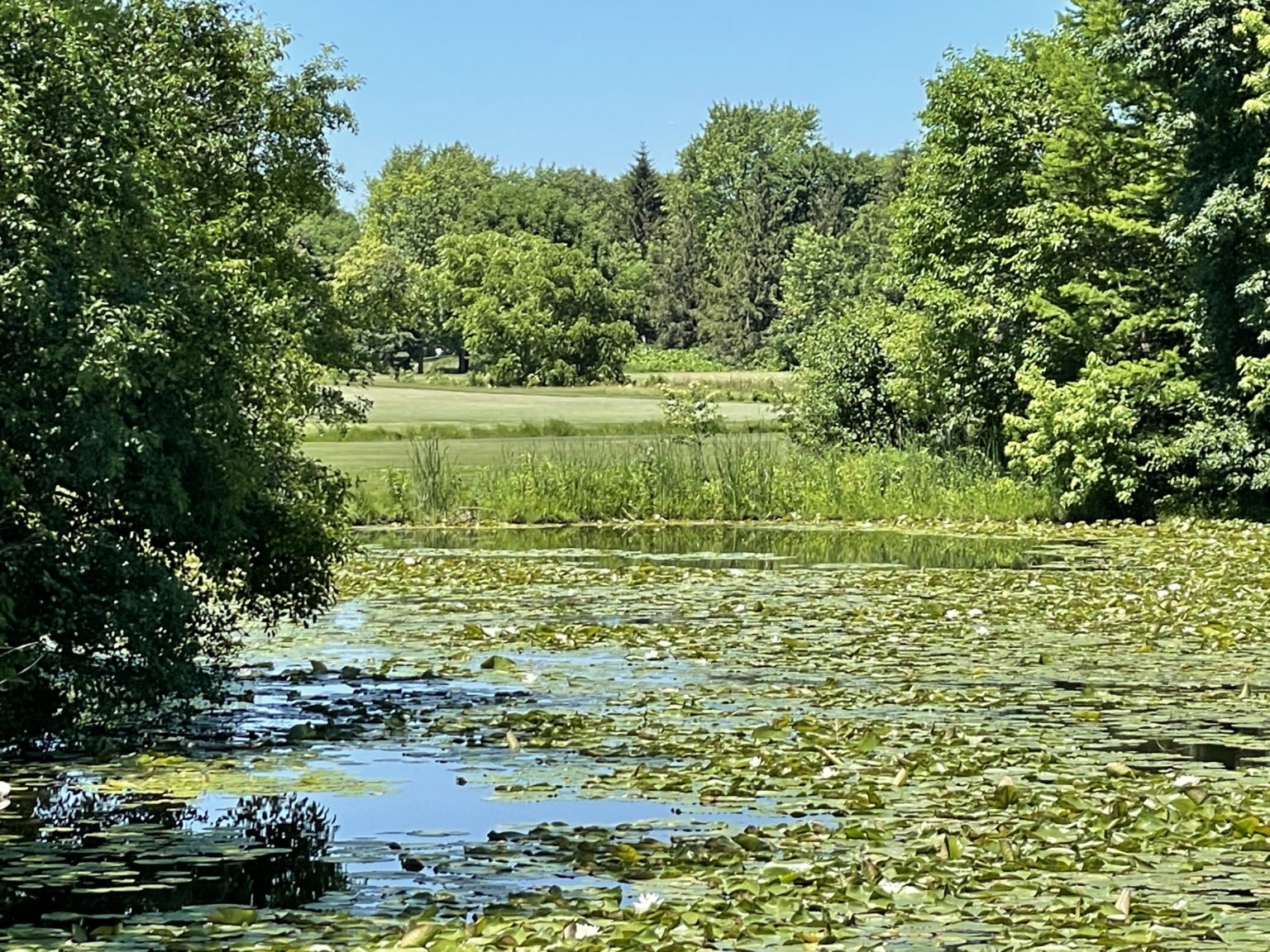 Day Trips from Chicago, IL - Visiting Suburban Glen Ellyn and Downers ...