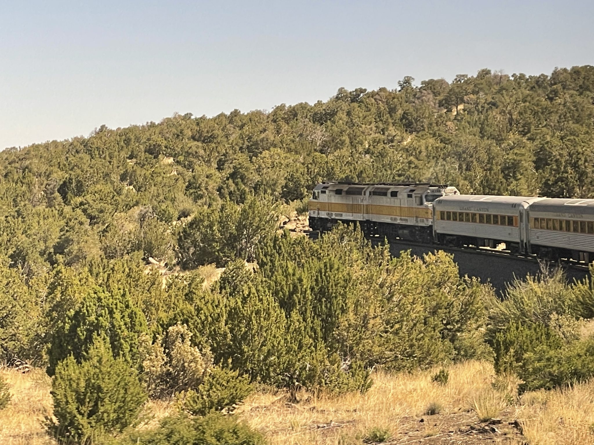 Visiting the South Rim of the Grand Canyon - Globalphile