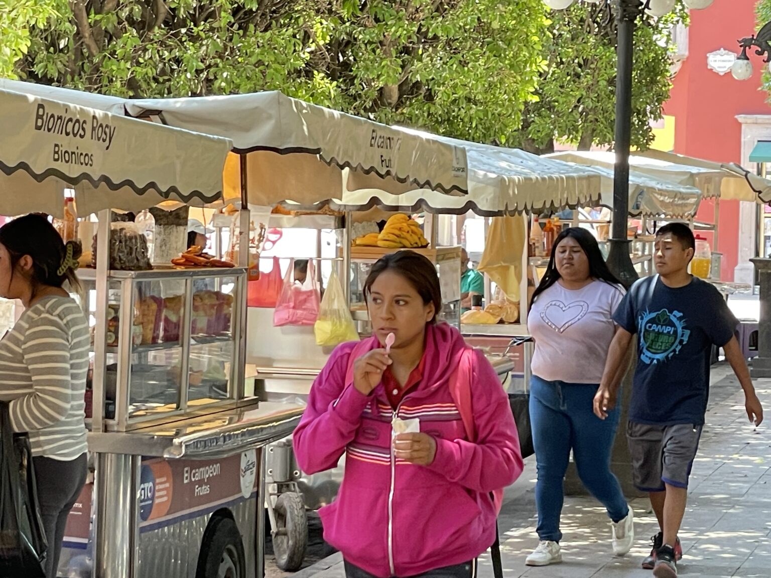 Day Trips from San Miguel de Allende - Visiting Comonfort, GTO ...